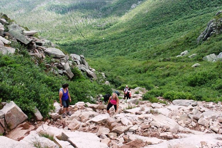 7 reasons to start hiking: Lessons from the trails | DASHBOARD LIVING