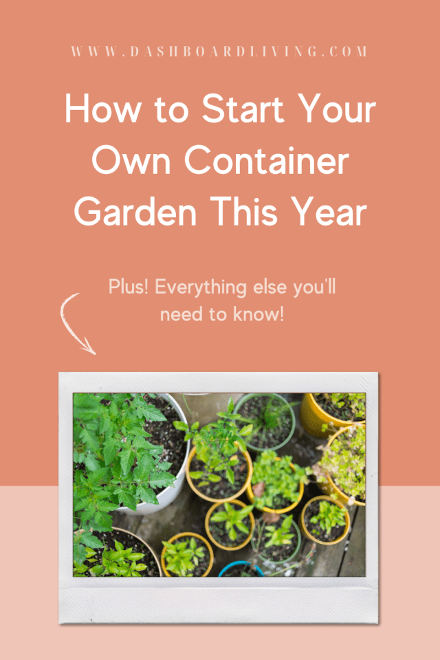 Ultimate Guide to Container Gardening | Everything You Need to Know